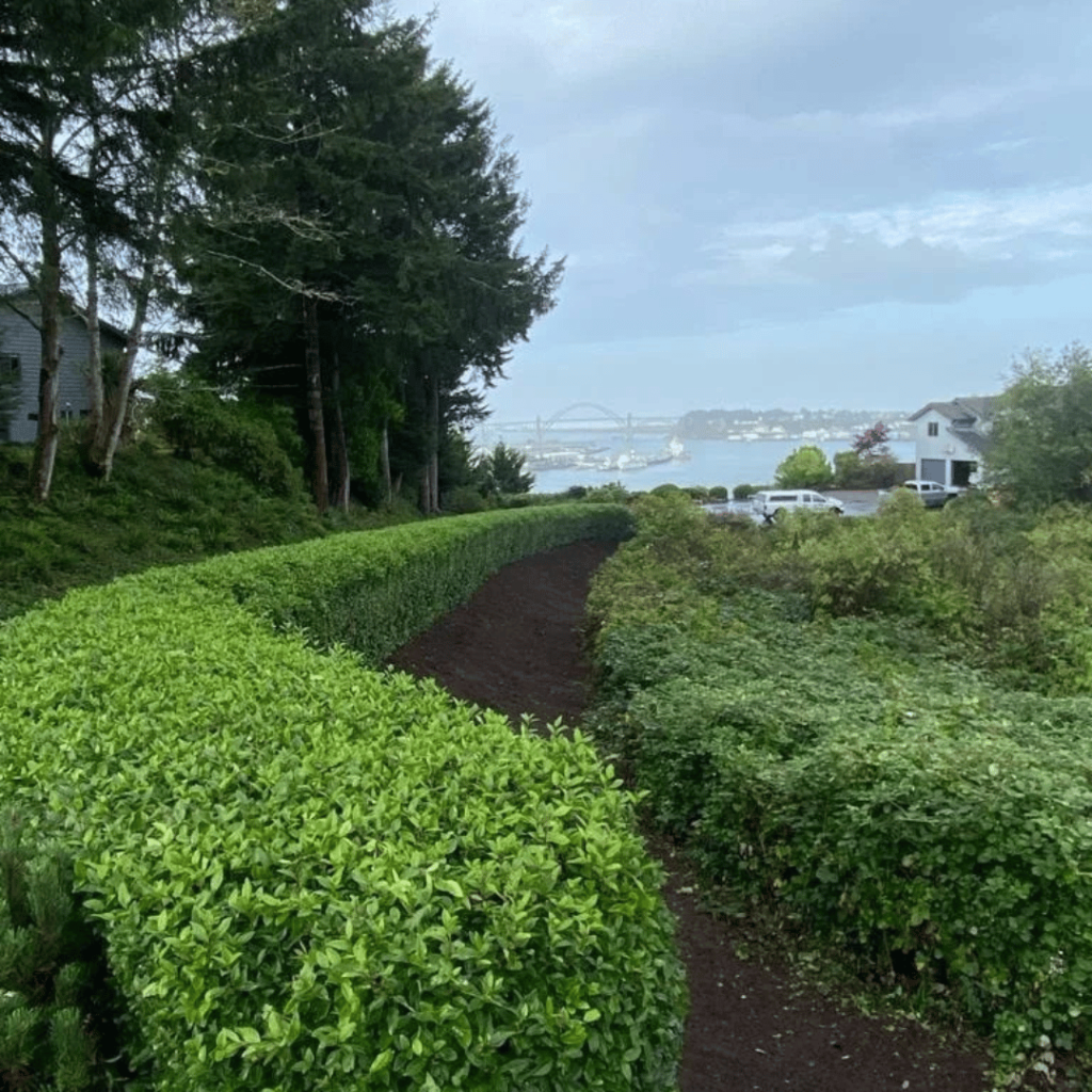 Maintenance – FX Oregon